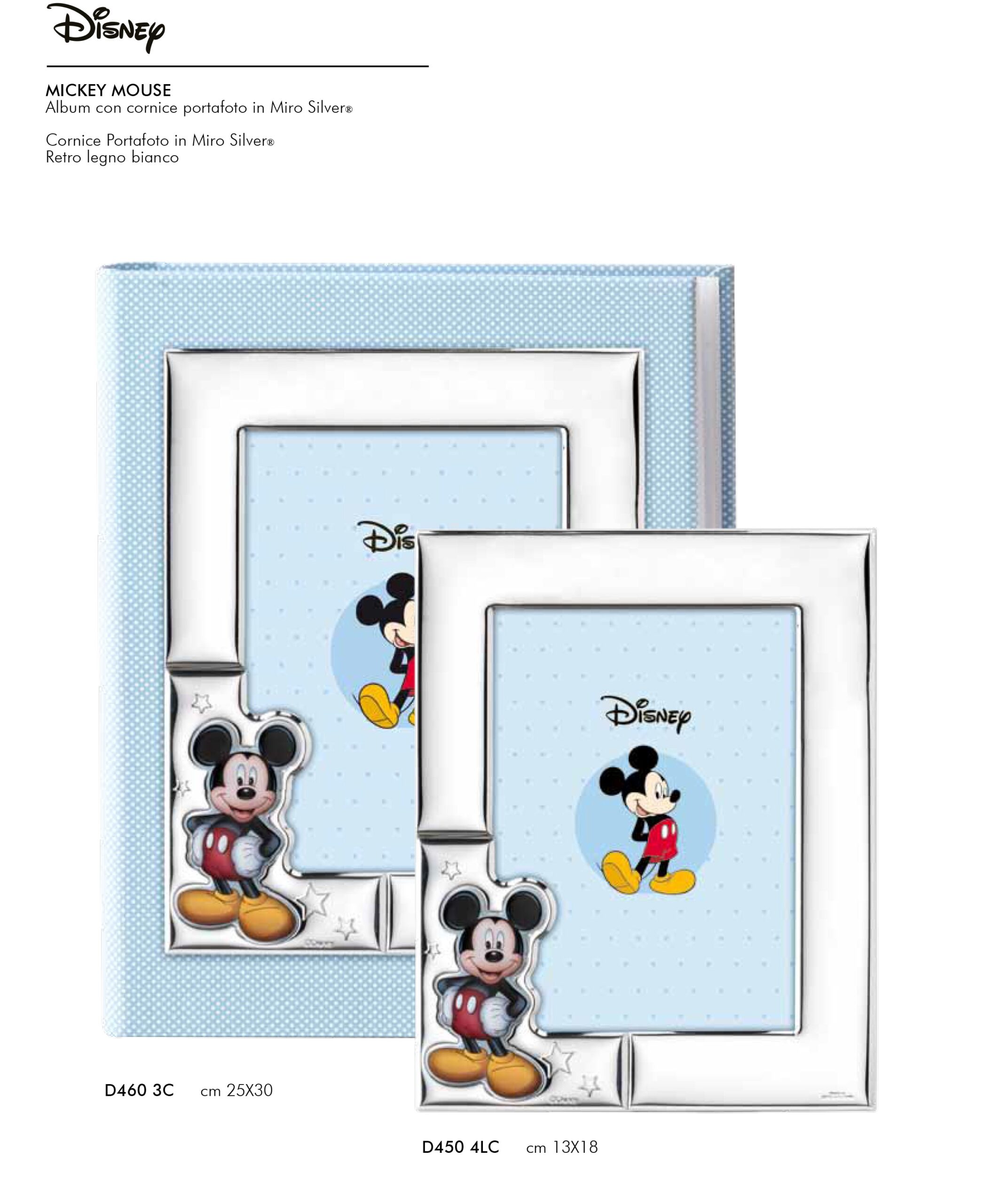 Disney Frame and Photo Album | Emozioni D'Argento